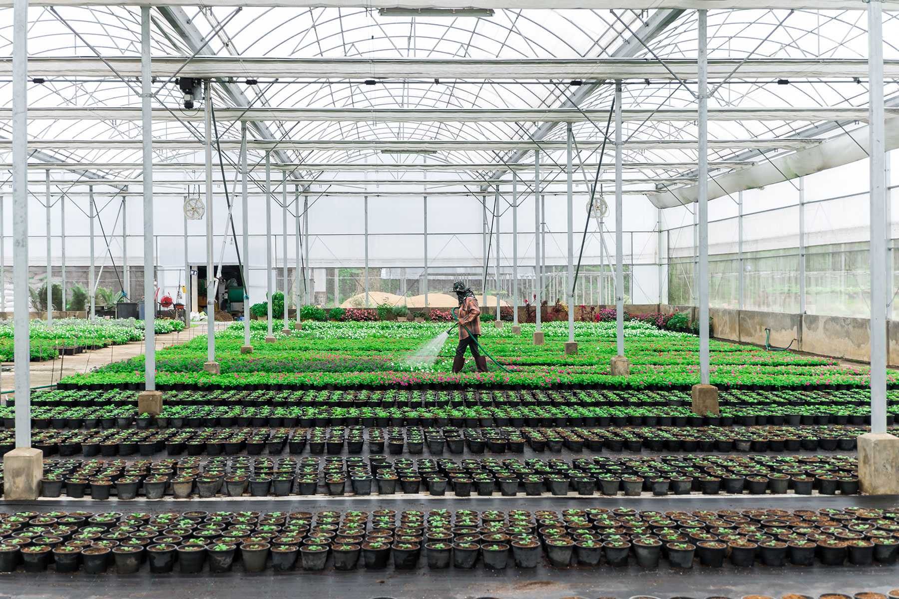 Efficient Greenhouse Heaters - IR Heat - WECO International